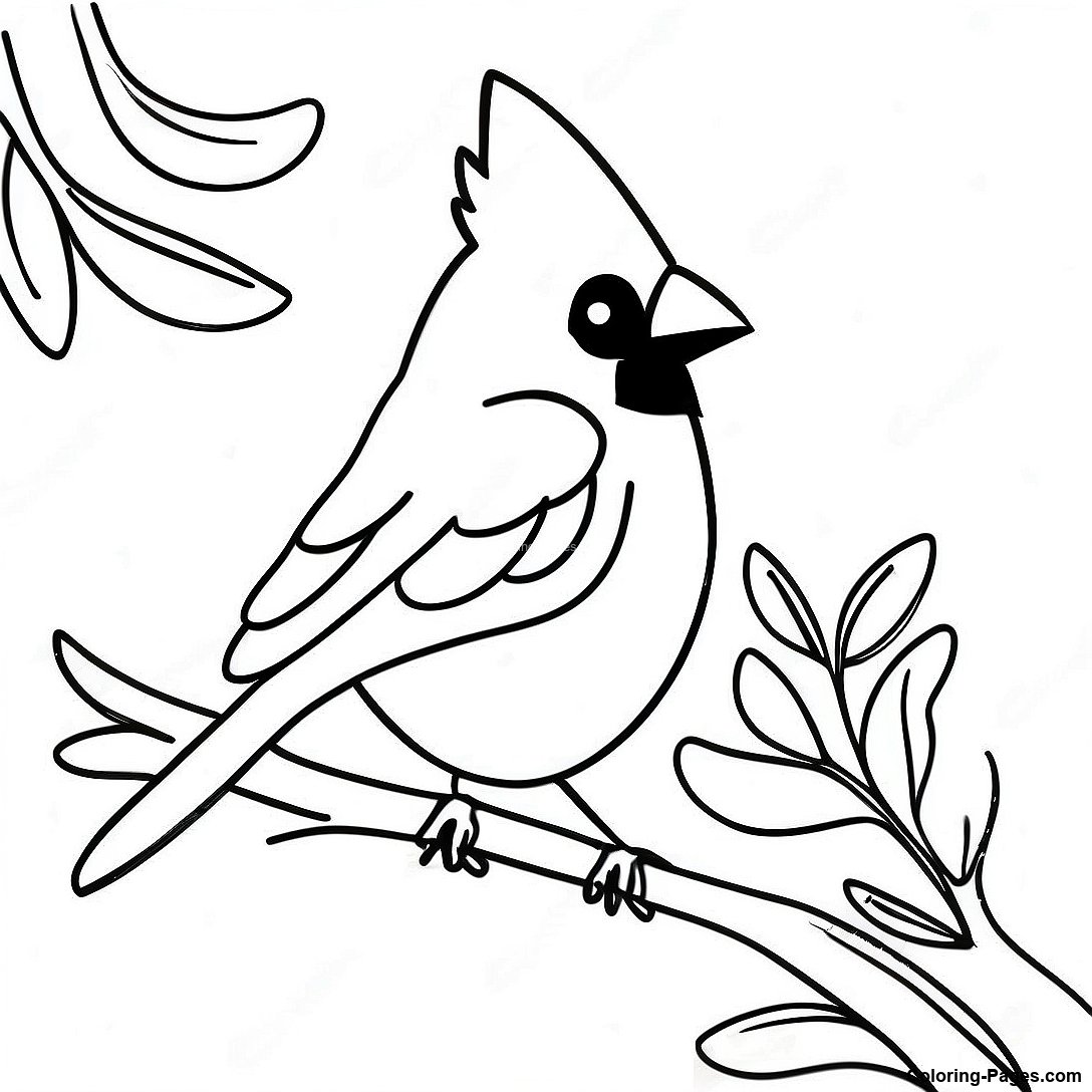Cardinal Coloring Page | Coloring-Pages.com