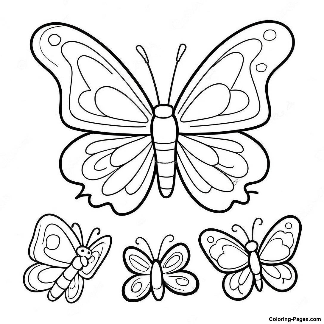 Colorful Butterfly Life Cycle Stages Coloring Page | Coloring-Pages.com