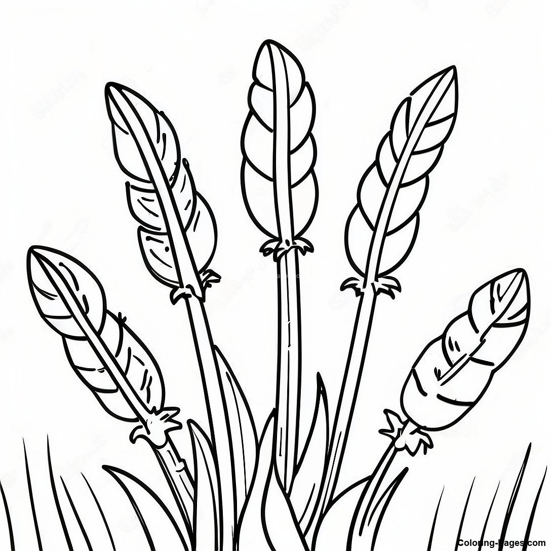 Colorful Cat Tails Coloring Page | Coloring-Pages.com