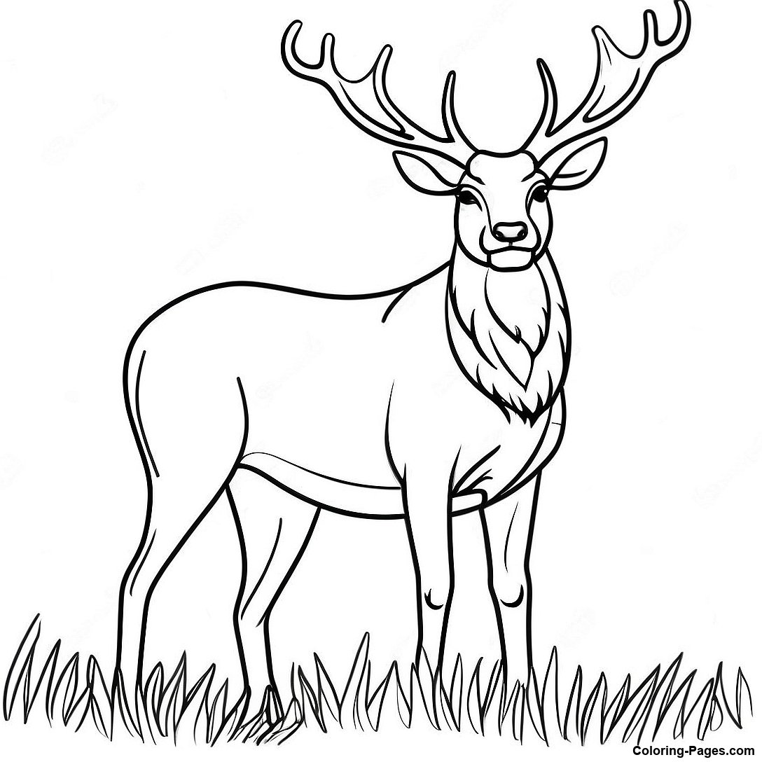 Elegant Stag Standing Proud Coloring Page | Coloring-Pages.com