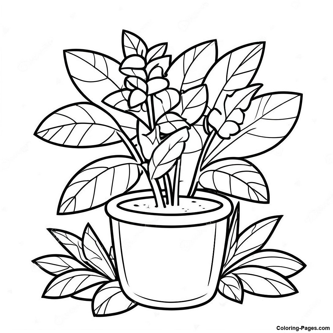 Lively Mint Plant Coloring Page | Coloring-Pages.com