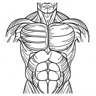 Detailed Muscle Anatomy Coloring Page | Coloring-Pages.com